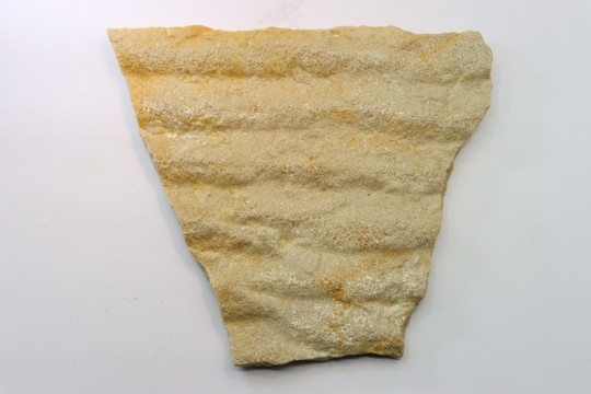 Microbial mat. - cambrian - (Possible précambrian?) - Mt Simon ...