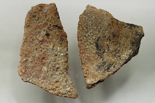 Coquilles d'œufs MEGALOOLITHUS - Du dinosaure TITANOSAURE HYPSELOSAURUS