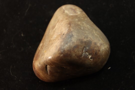 Gastrolith of Dinosaur - Lower Cretaceous - Cloverly formation ...