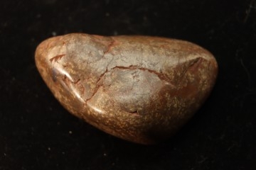 Gastrolith of Dinosaur - Lower Cretaceous - Cloverly formation ...