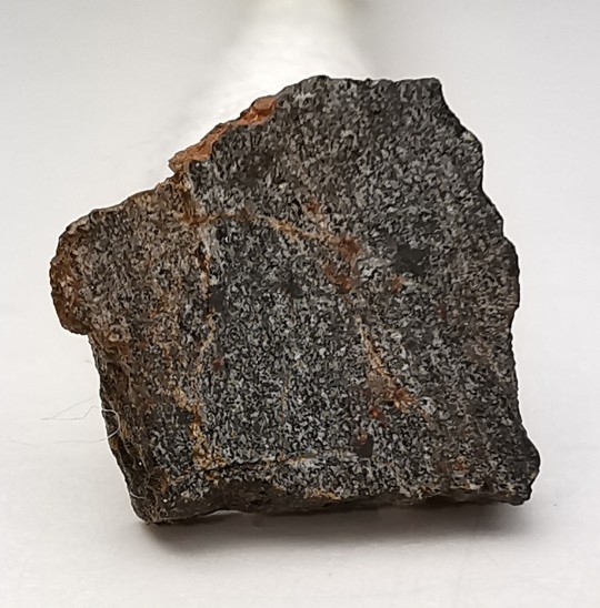 Météorite Brachinite - El Medano 395, Chili