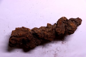 coprolithe of reptil - cenozoic - Betsiboka, province of Majunga ...