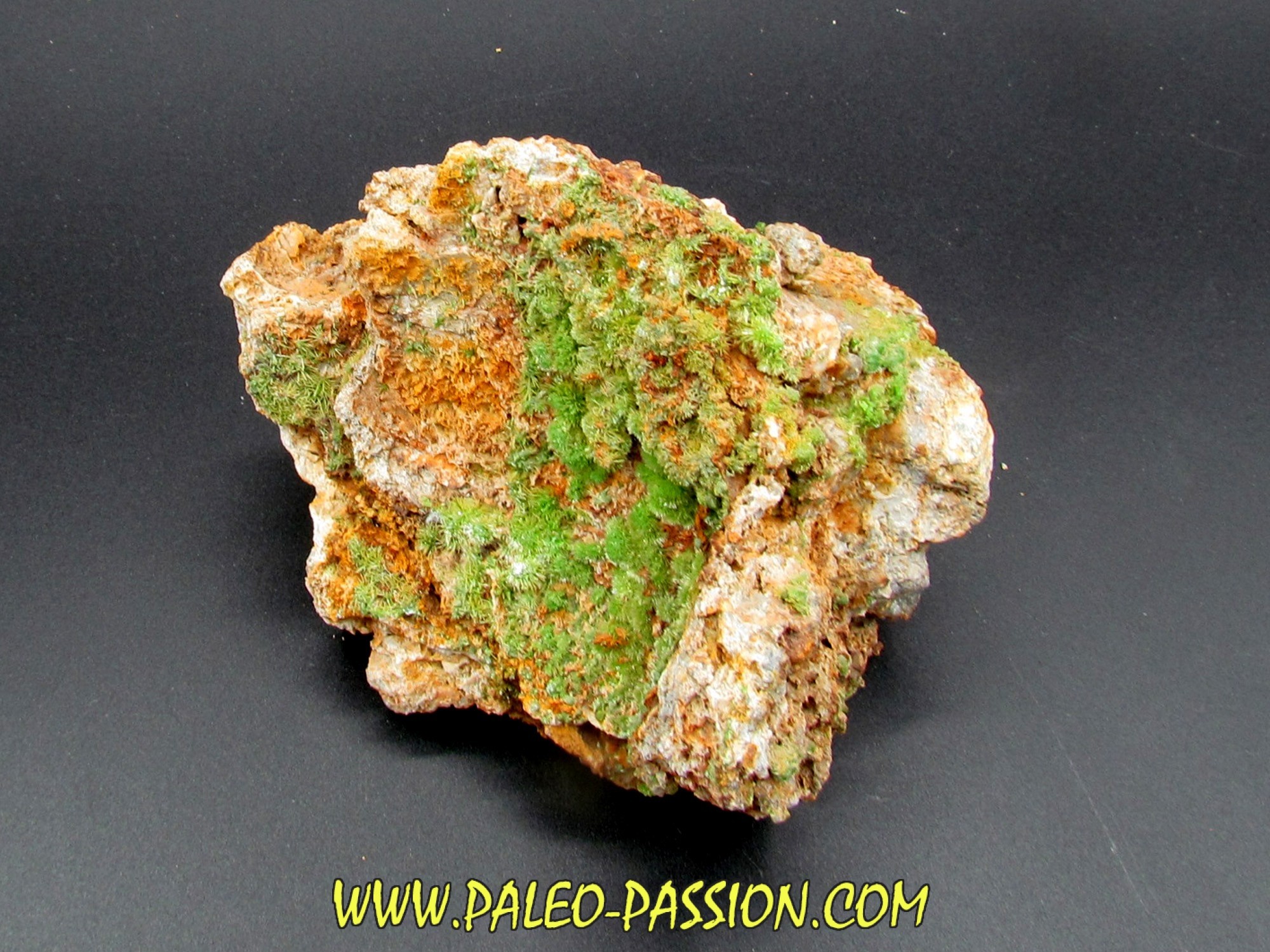 pyromorphite-de-saint-salvy pyromorphite-de-saint-salvy