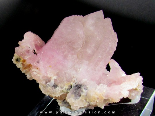 pink Quartz Pitora-Galileia, Minas Gerais - Brasil
